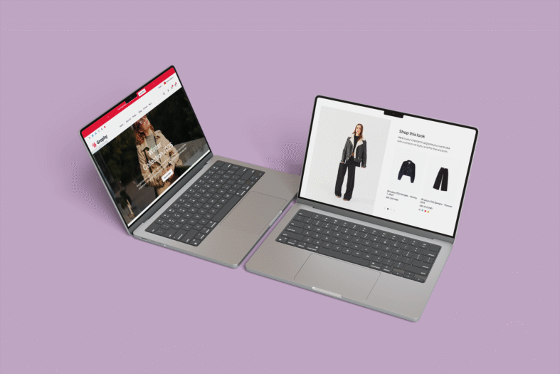 Graphy Shopify Theme - Succeessify
